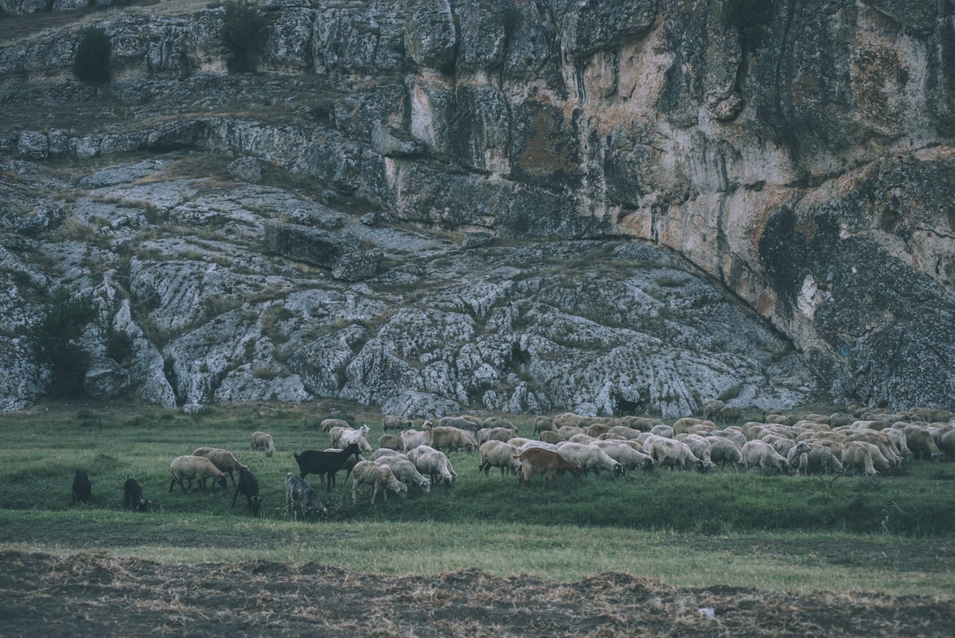 Dobrogea – one of the richest yet overlooked regions of Romania ...